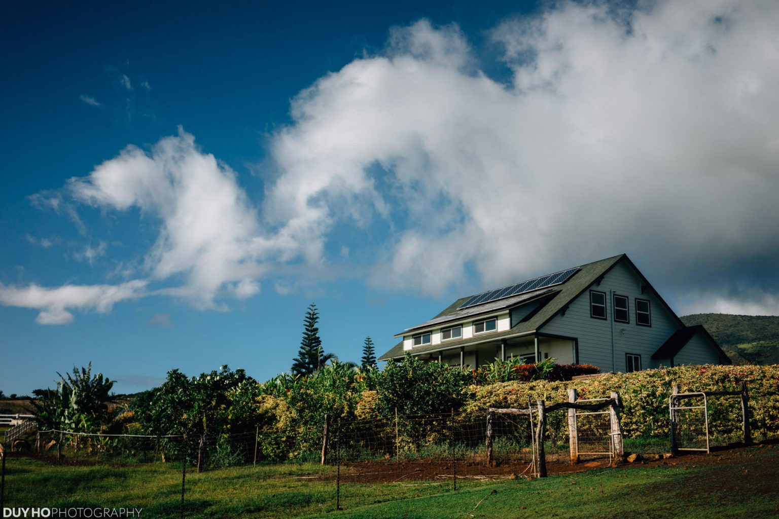 Lahaina Animal Farm Wedding by Duy Ho Photography